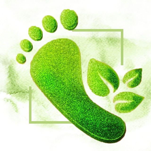 Telegram-chat "Босоногие будни" — @bosobudni