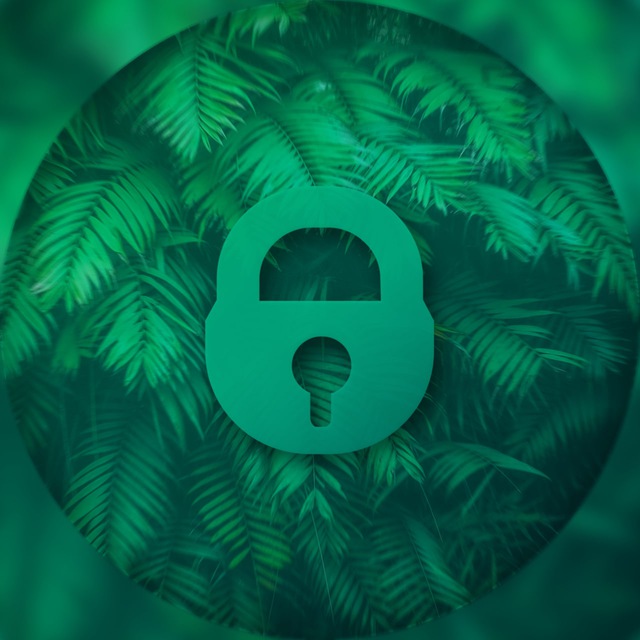 Onlyfans Mega Tg Telegram Onlyfansmegadaily Telegram Channel Onlyfans