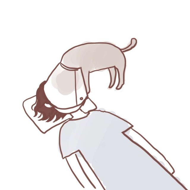 Citation Index — Telegram channel "Ehviewer(xiaojieonly)通知以及Q&A ...